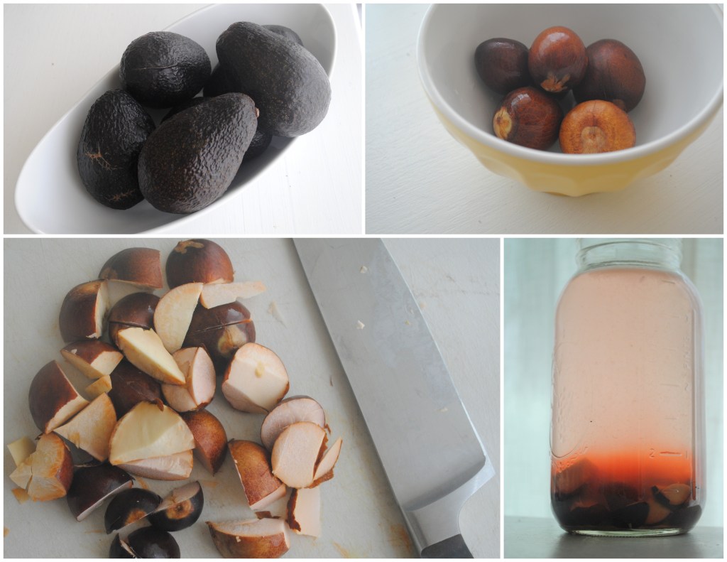 Natural Dye: Avocado – Myra Made Color