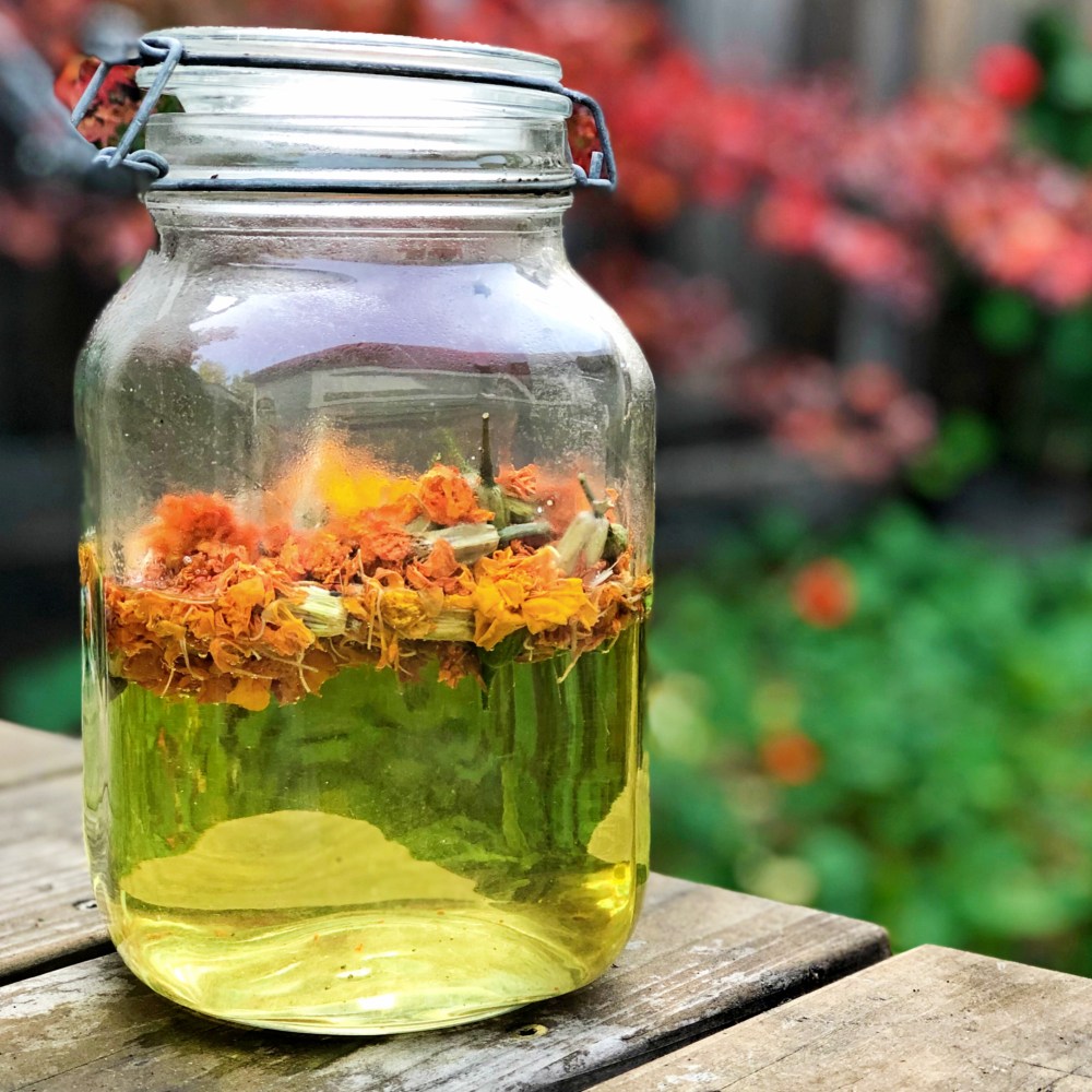 Dyeing with Marigolds – Myra Made Color
