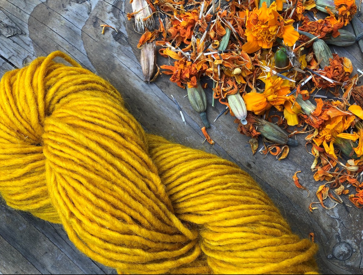 Dyeing with Marigolds – Myra Made Color