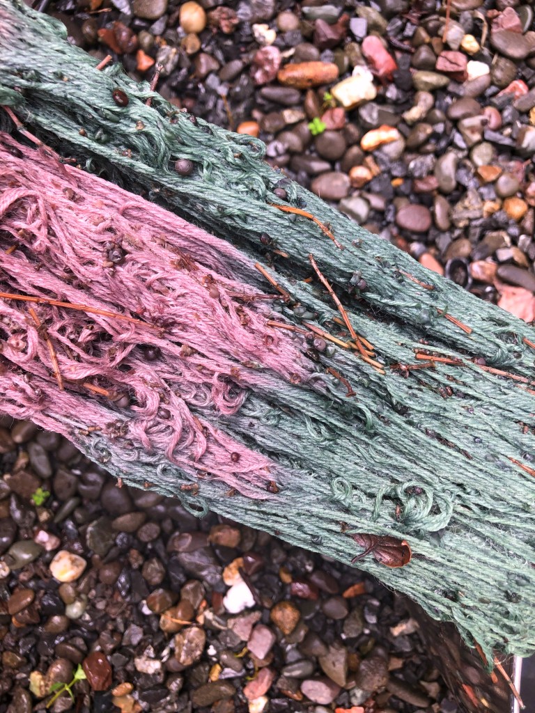 Natural Dye – Privet Berries – Myra Made Color