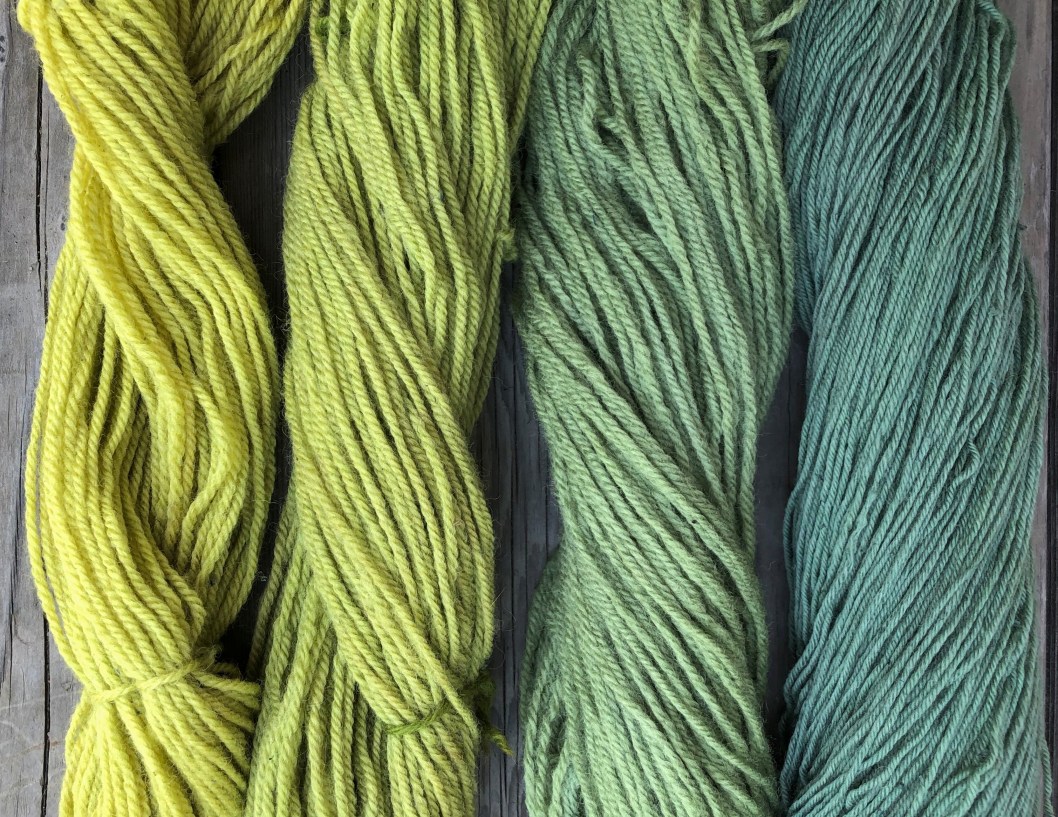 Natural Dye – Privet Berries – Myra Made Color