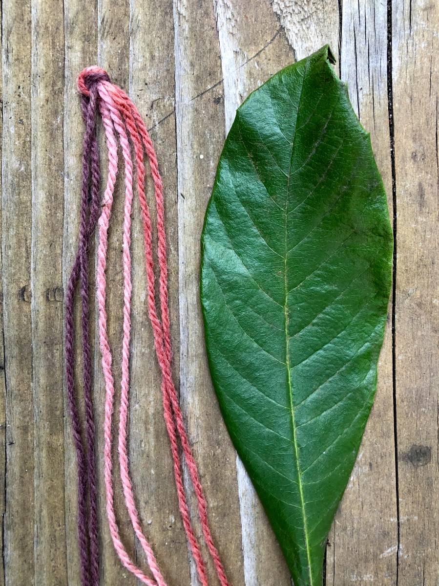 Scattered, a Lesson. With a Loquat Dye. – Myra Made Color