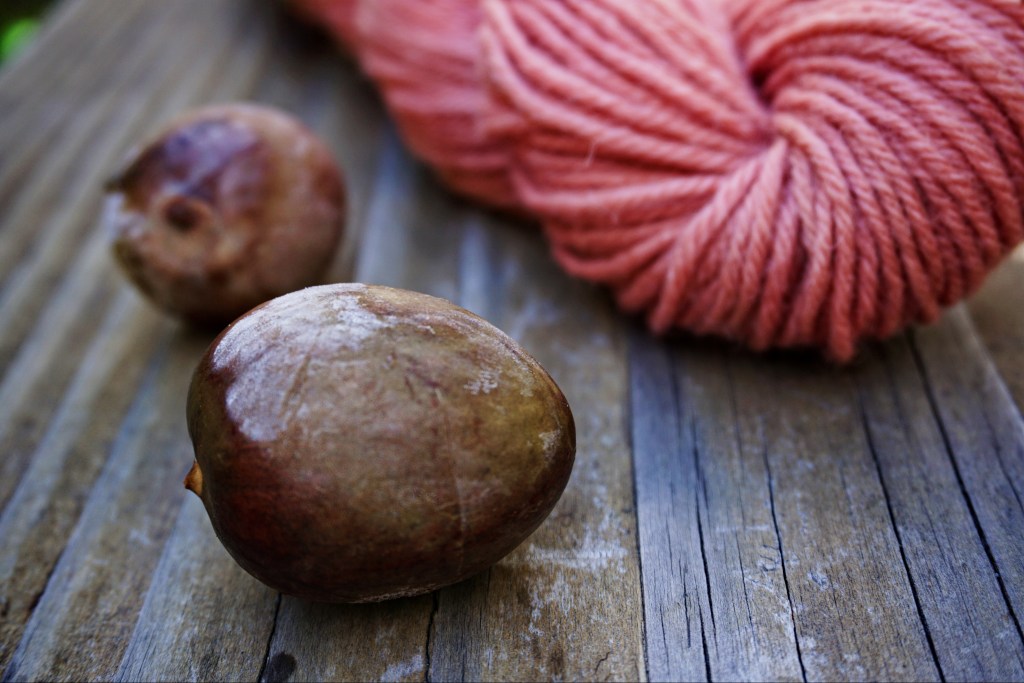 Avocado Dye (with video!) – Myra Made Color