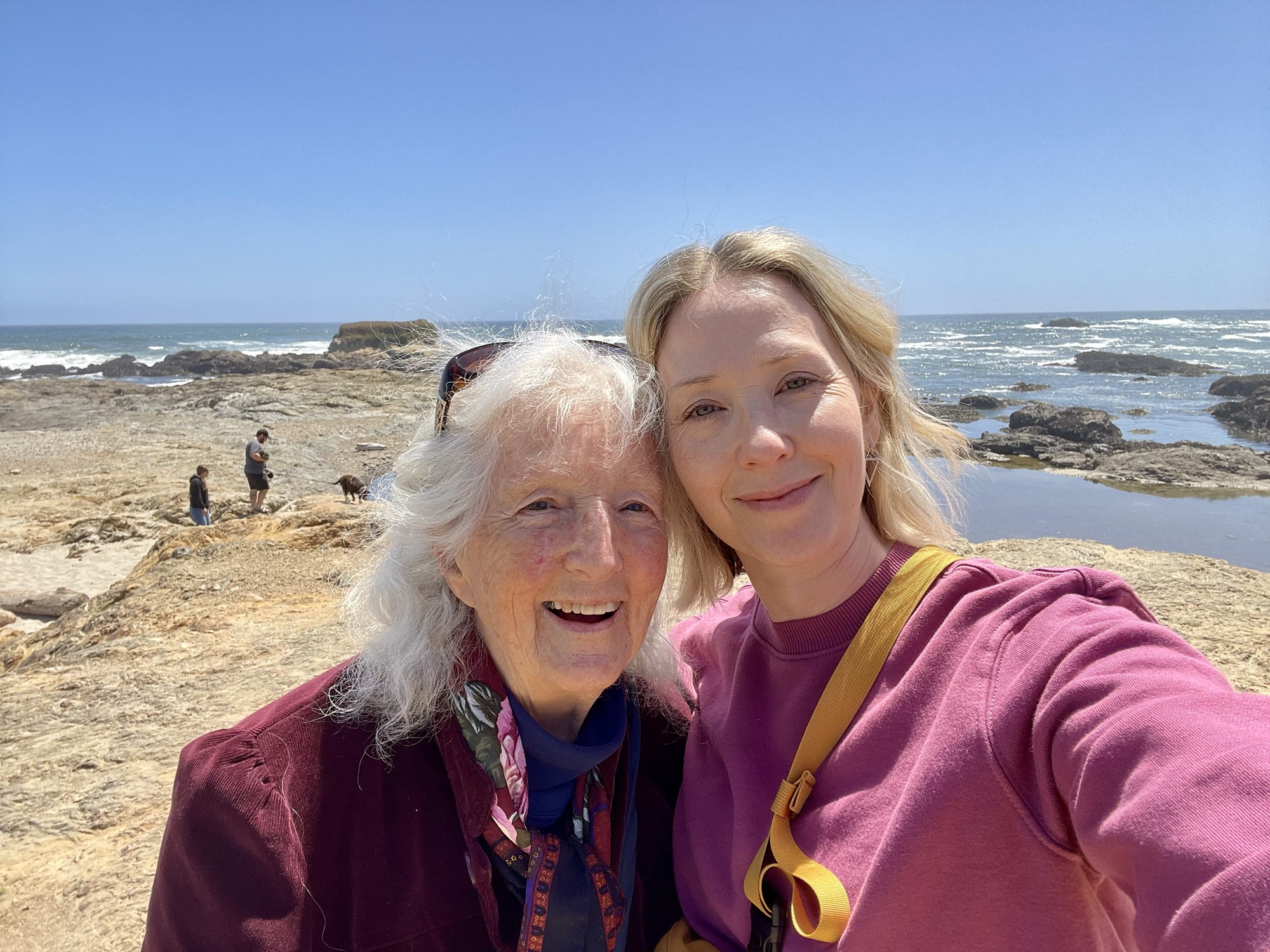 Try it and See: The Story Behind Mushroom Dyes – Myra Made Color